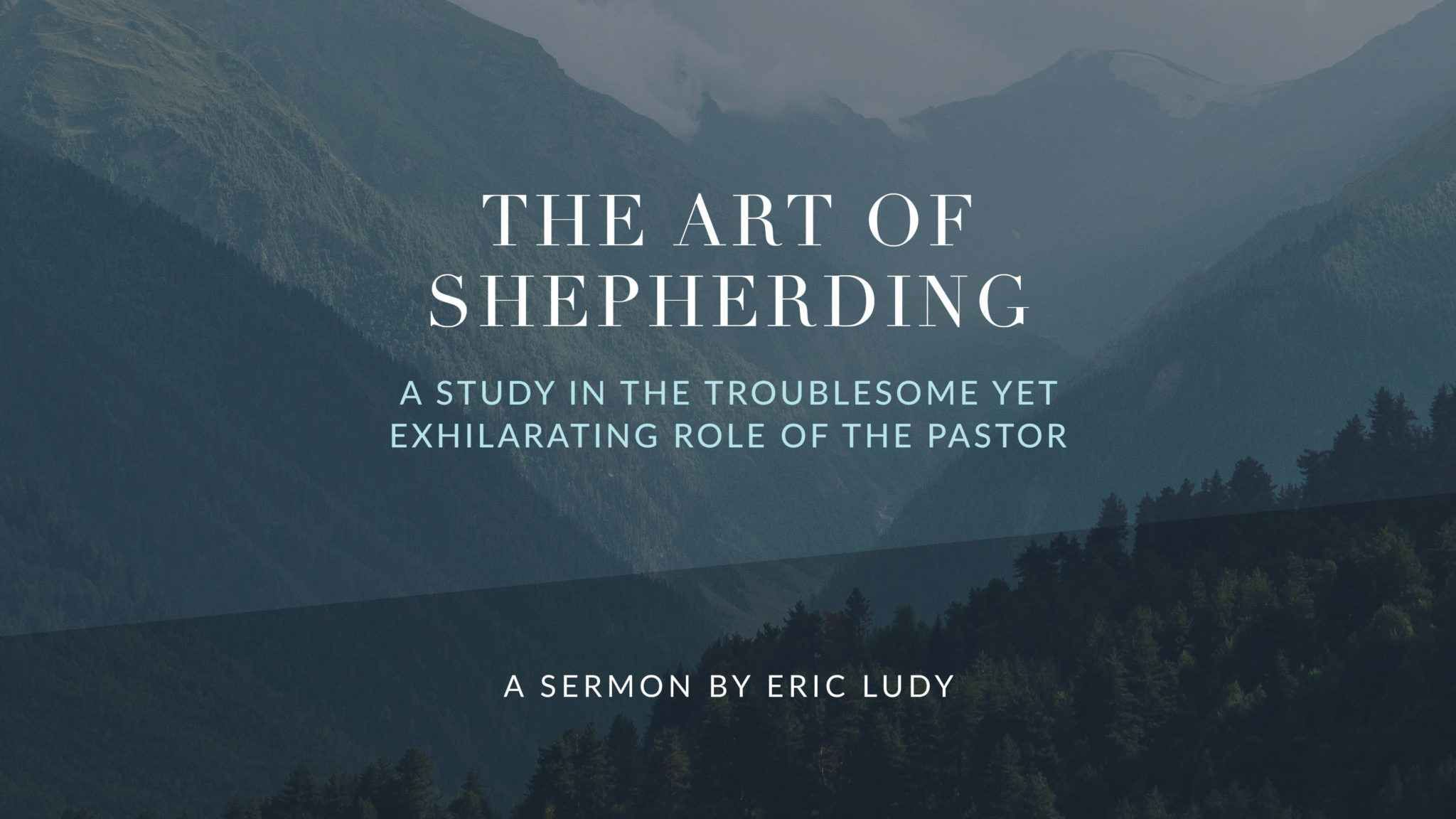 The Art of Shepherding